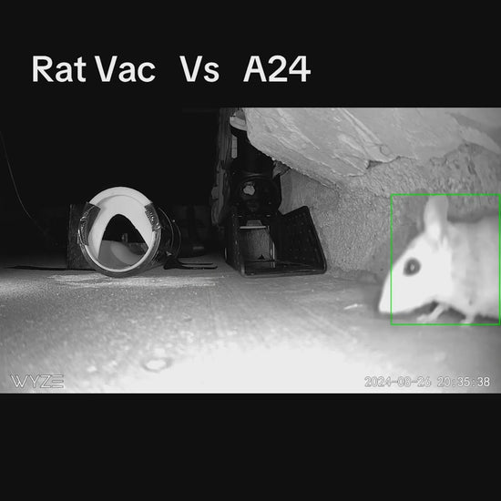 Rat Vac Motion-Sensor Rodent Catching System – Rodent Free